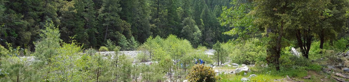 Indian Valley Camping | Camptonville, CA