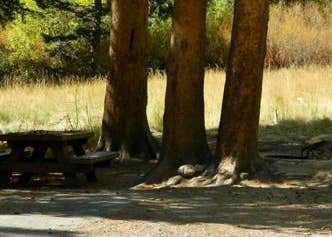 Kit Carson Campground Camping | The Dyrt