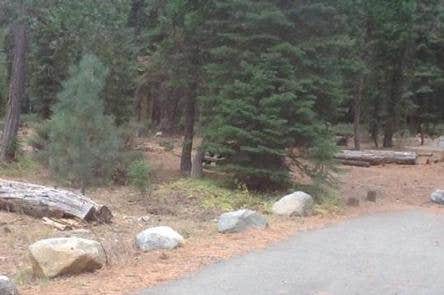 Lewis Campground Camping | The Dyrt