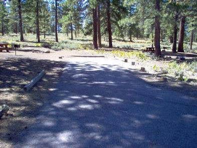 THE 10+ BEST Campgrounds near Reno, NV