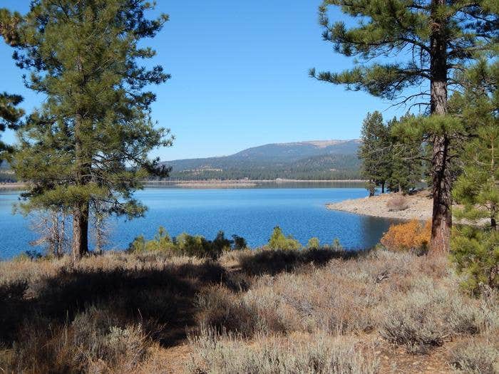 THE 10+ BEST Campgrounds near Reno, NV