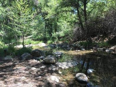 Middle Lion Campground | Ojai, CA