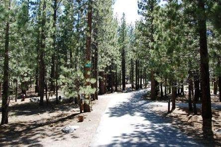 New Shady Rest Campground | Mammoth Lakes, CA