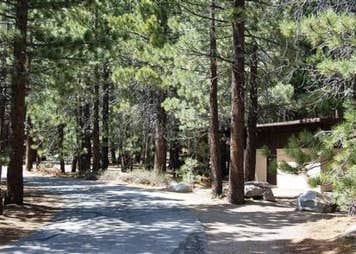New Shady Rest Campground Camping | The Dyrt