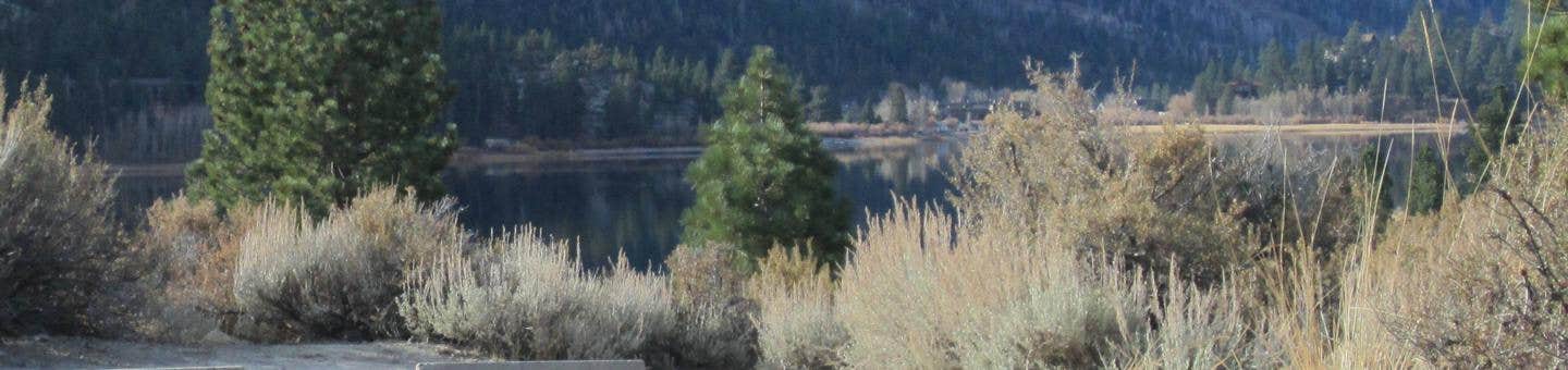 Inyo National Forest Oh Ridge Campground | Mammoth lakes, CA