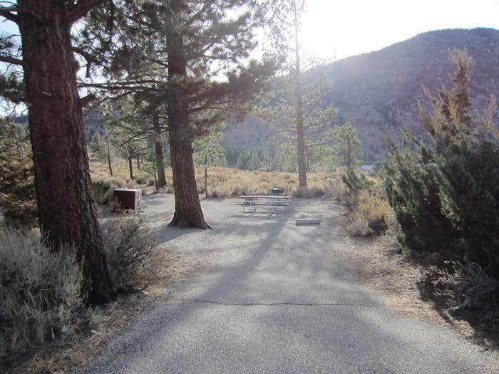 Inyo National Forest Oh Ridge Campground | Mammoth lakes, CA