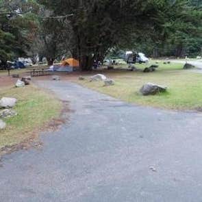 Plaskett Creek Campground - Los Padres National Forest Camping | The Dyrt