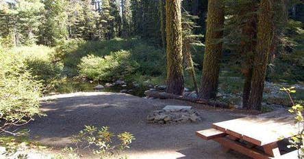 Tahoe National Forest Sierra Campground | Sierra City, California