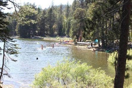 (lake Alpine) Silver Tip Campground | Carson city, NV