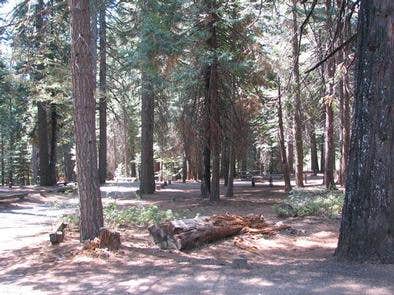 Ghost Mountain Ranch RV Resort | Pollock Pines, California
