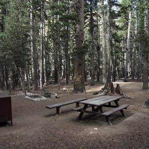 Trumbull Lake Camping | The Dyrt