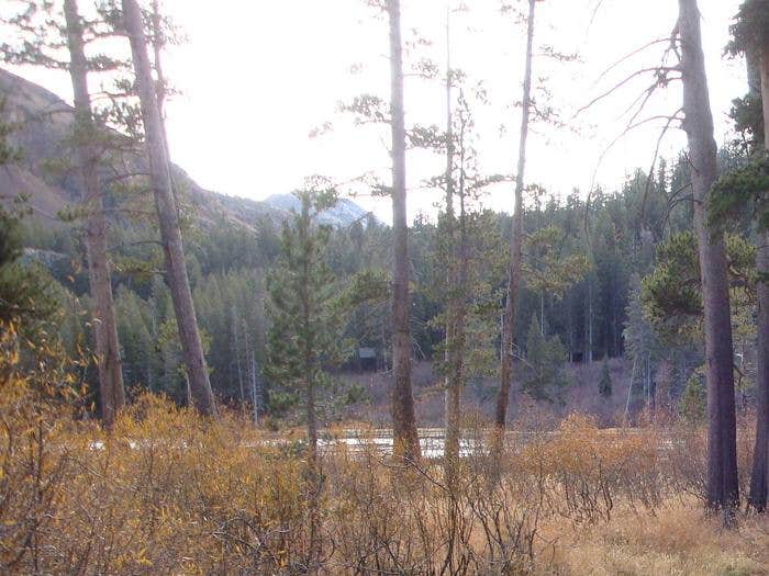 THE 10+ BEST Campgrounds near Inyo National Forest