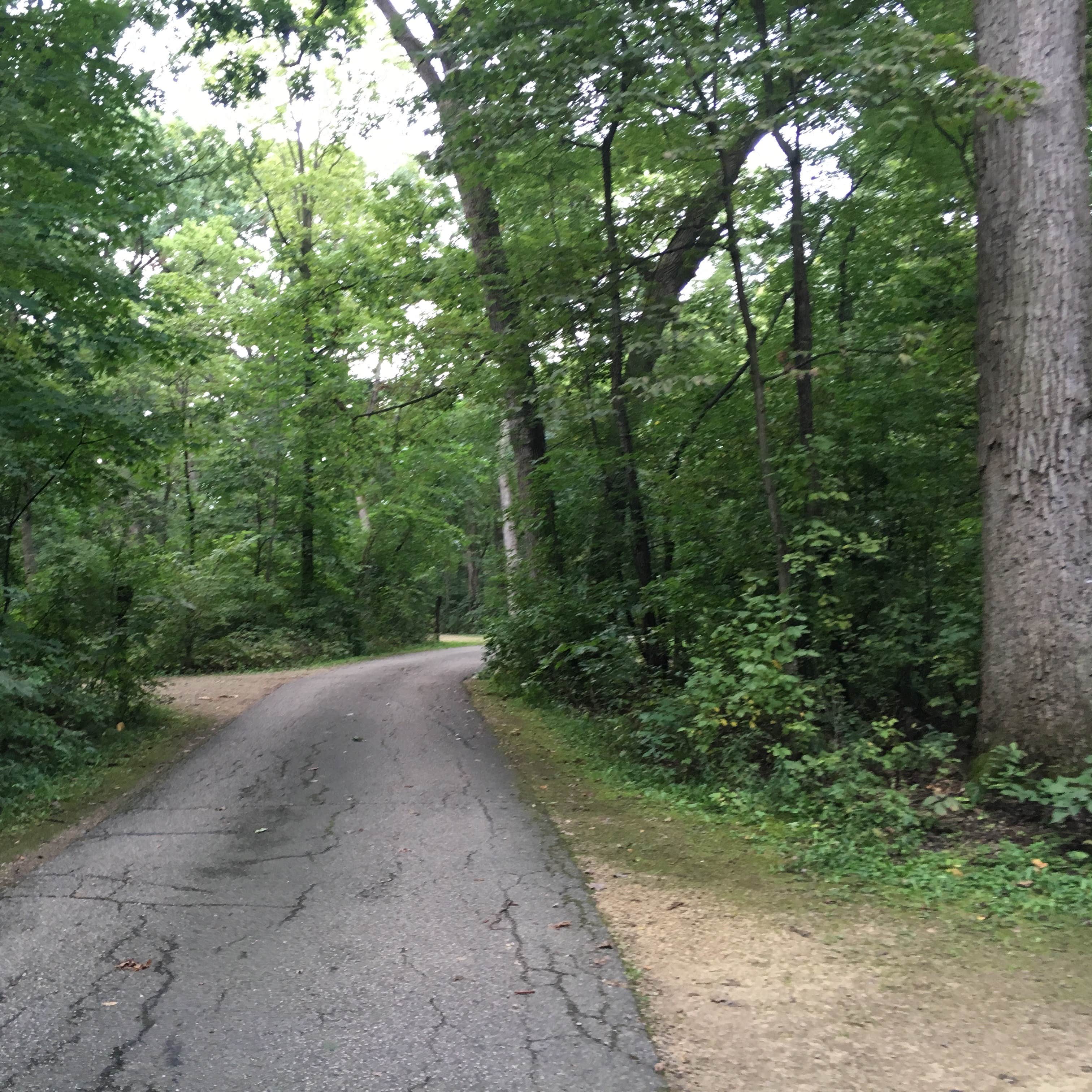 Lake Kegonsa State Park Camping | The Dyrt