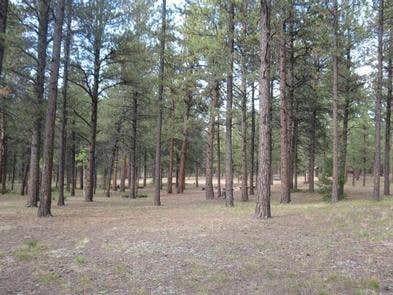 Red Rocks Group Campground | Colorado springs, CO