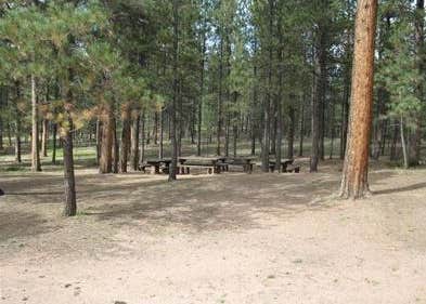 Red Rocks Group Campground Camping | The Dyrt