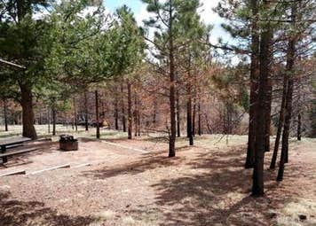 Thunder Ridge Camping | The Dyrt