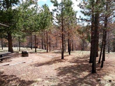 Thunder Ridge Camping | Colorado springs, CO