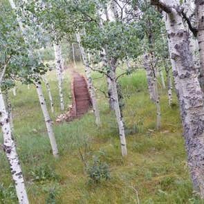 La Vista Campground - Lake Isabel Camping | Rye, CO | The Dyrt