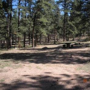 Buffalo Campground Camping | The Dyrt