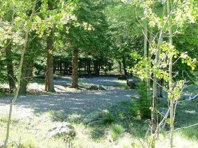 Thirty Mile Camping | Creede, CO