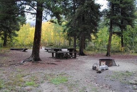 Collegiate Peaks Camping | The Dyrt