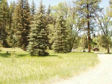 Blanco River Group Campground | San juan nf, CO