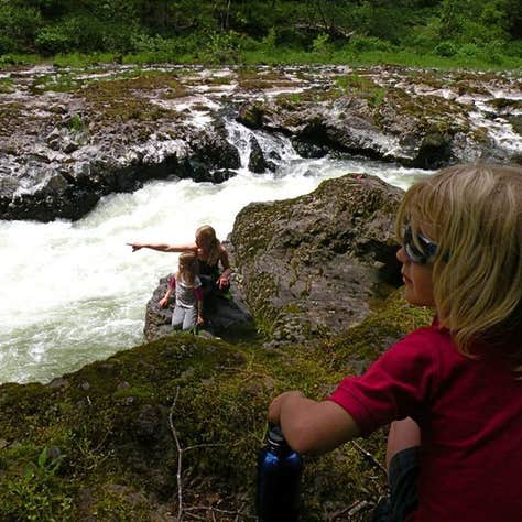 Tillamook State Forest Nehalem Falls Campground Camping | The Dyrt