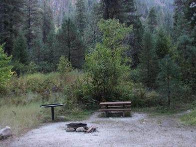 Rattlesnake Camping | The Dyrt