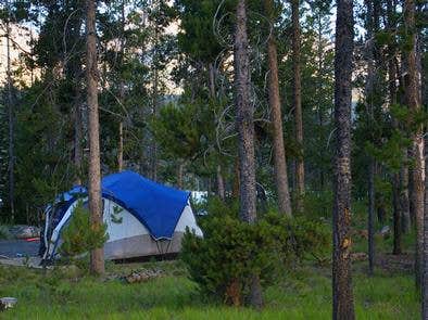 Outlet Campground at Redfish Lake Camping | The Dyrt