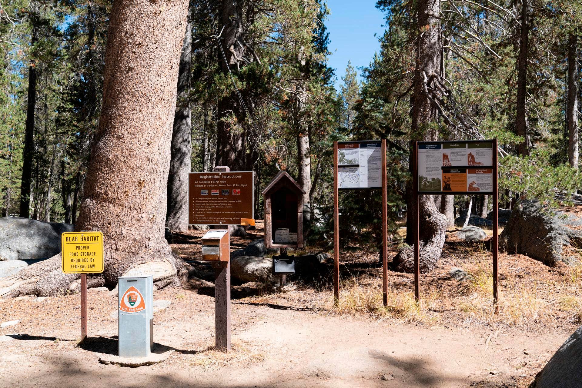 White Wolf Campground — Yosemite National Park | Yosemite National Park, CA