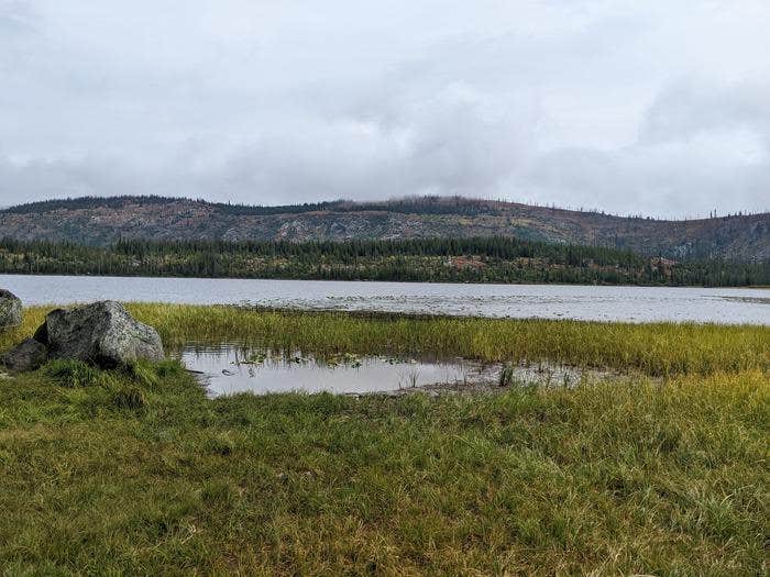 Hazard Lake Camping | Pollock, ID