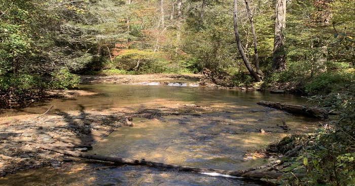 Mulky Campground | Suches, Georgia