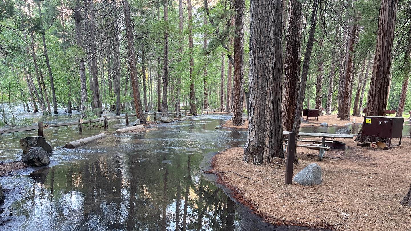 THE 10+ BEST Campgrounds near Yosemite National Park