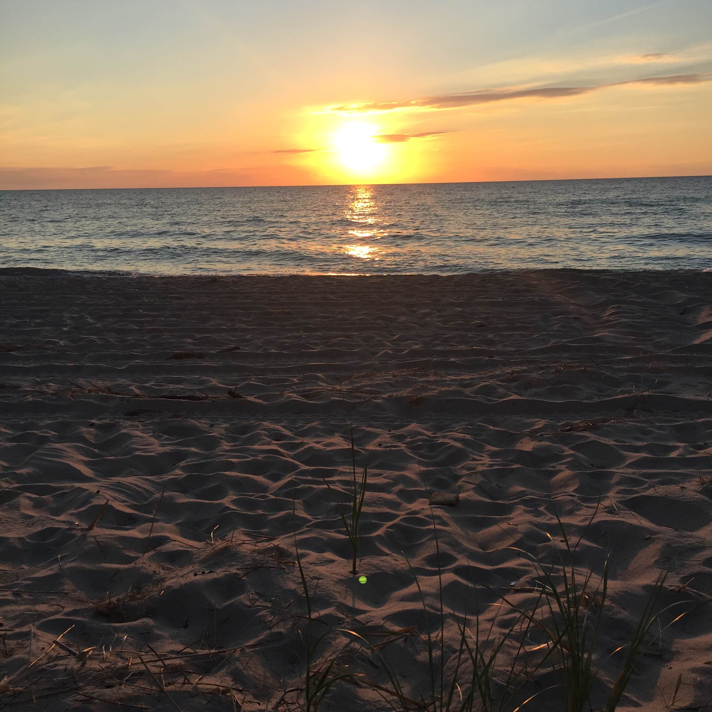 Warren Dunes State Park Camping | The Dyrt