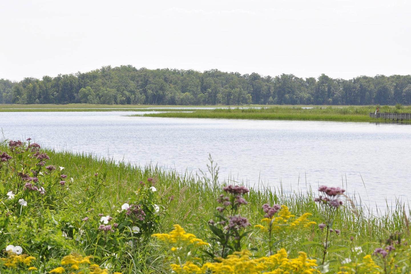 Sandy Lake Camping | Turner, Minnesota
