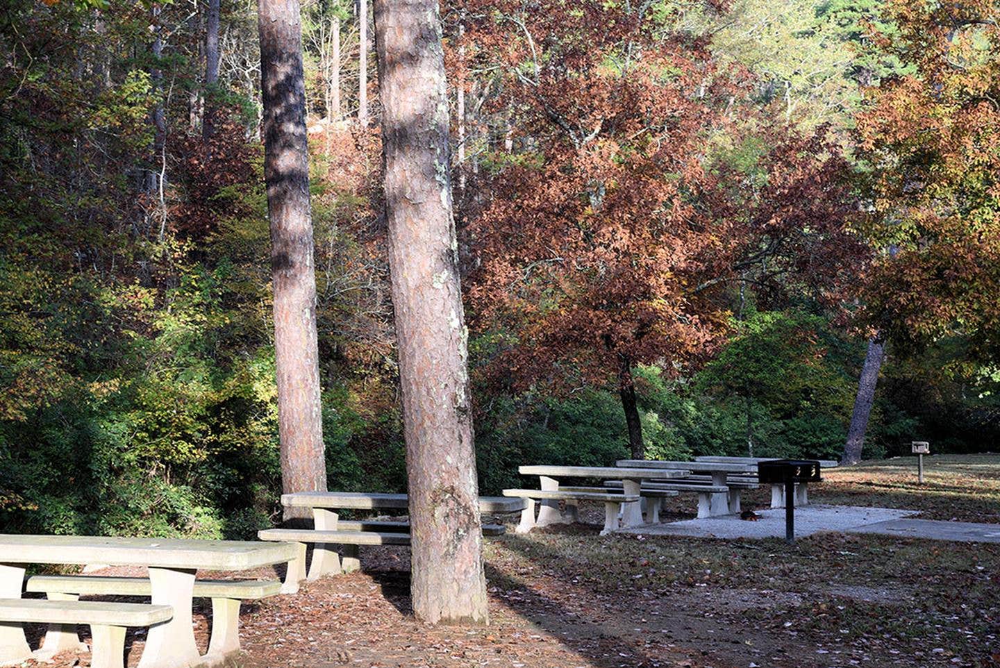 THE 10+ BEST Campgrounds in Arkansas