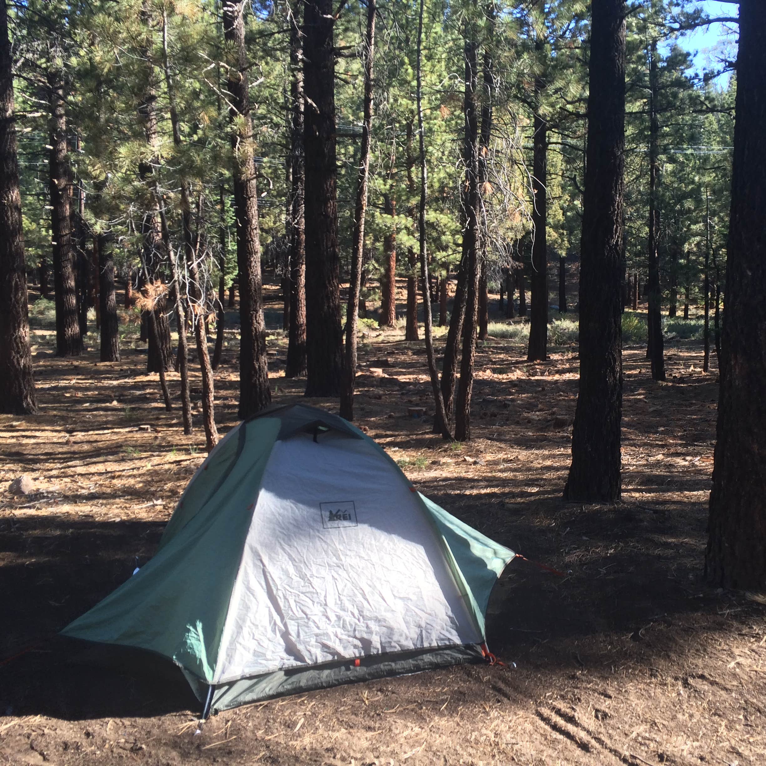New Shady Rest Campground Camping | Mammoth Lakes, CA | The Dyrt