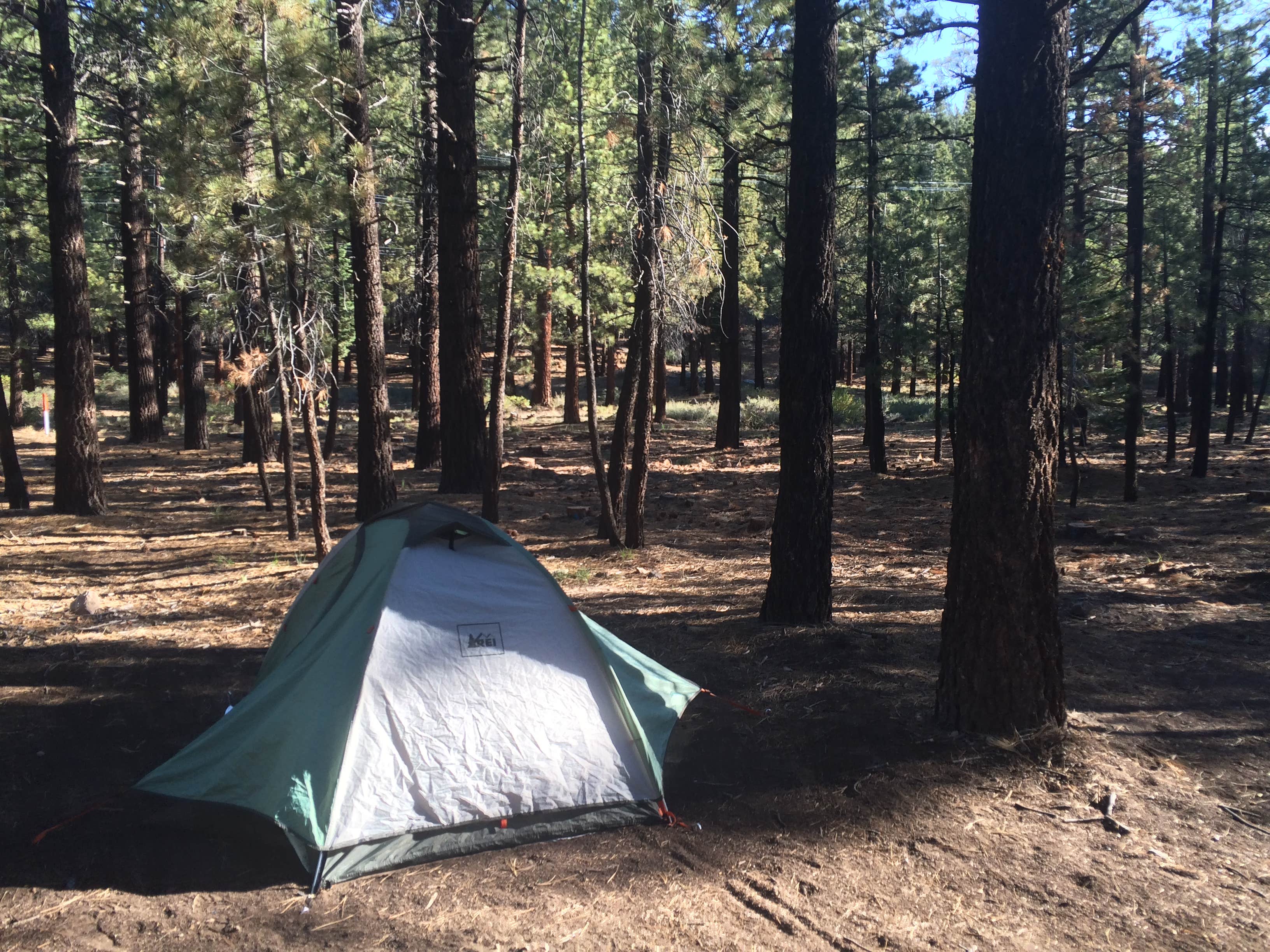 New Shady Rest Campground | Mammoth Lakes, CA