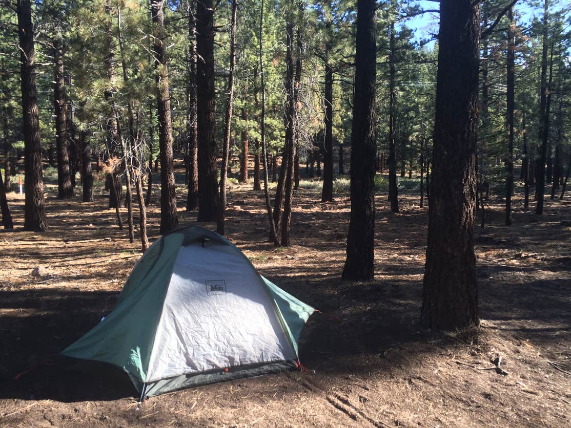 New Shady Rest Campground Camping | The Dyrt