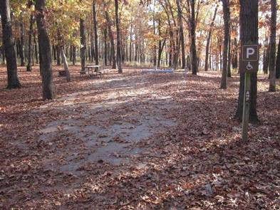 Ruark Bluff East Camping | Greenfield, MO | The Dyrt