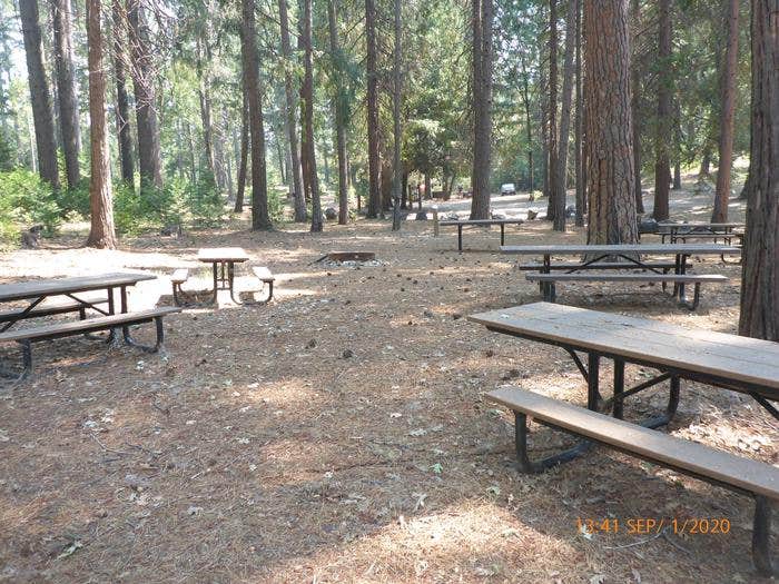 Stumpy Meadows Camping | Pollock Pines, California