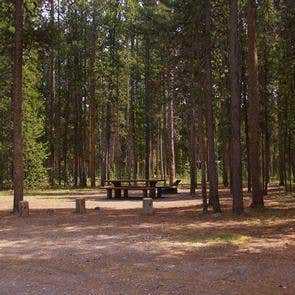 Rainbow Point Campground Camping | The Dyrt