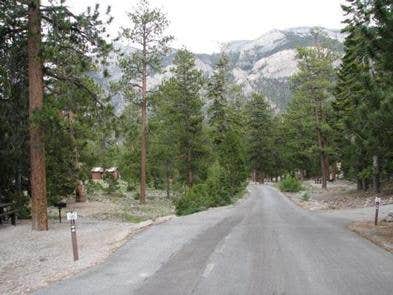 THE 10+ BEST Campgrounds near Mount Charleston, NV