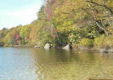 Russell Pond Campground Camping | The Dyrt