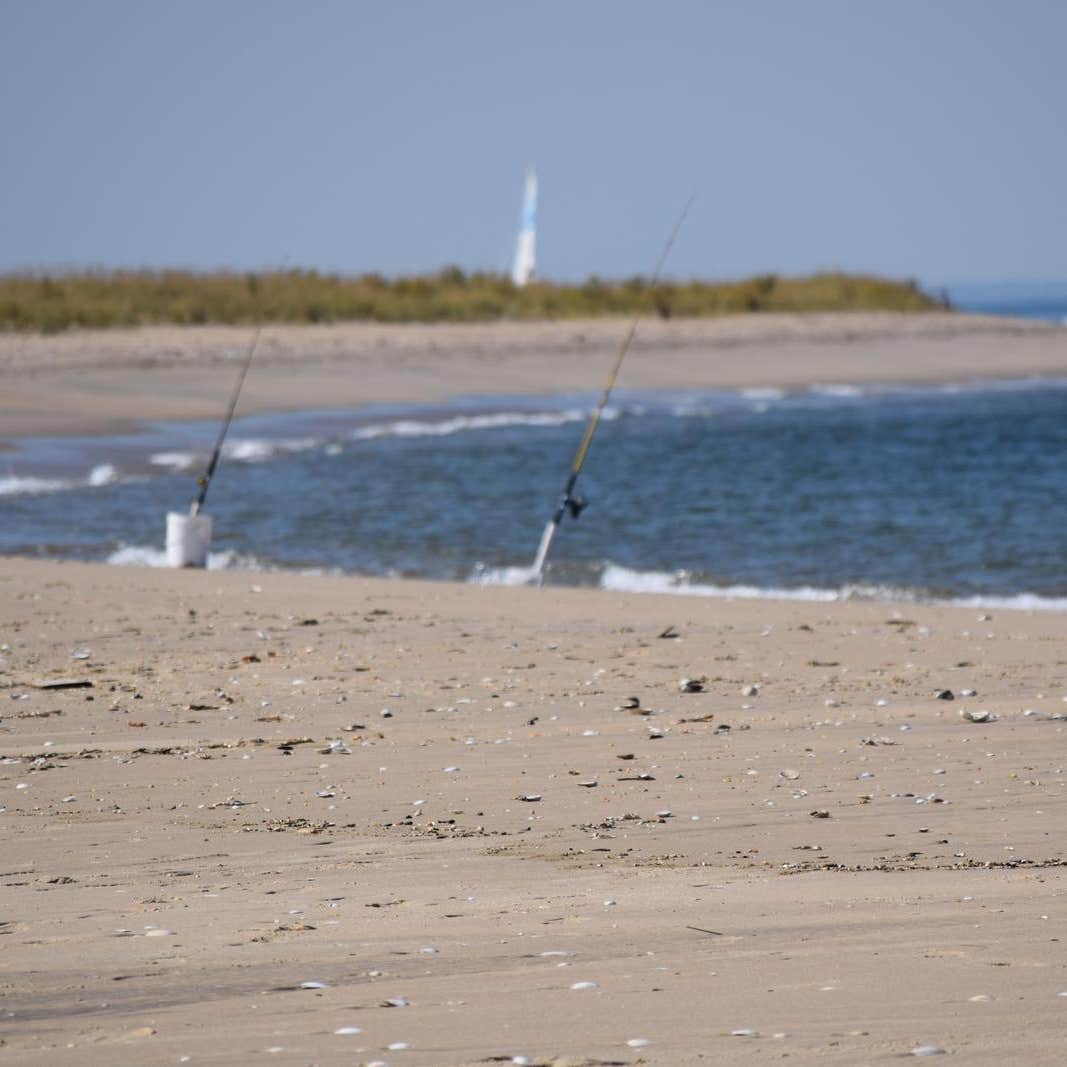 Camp Gateway - Sandy Hook Camping | The Dyrt