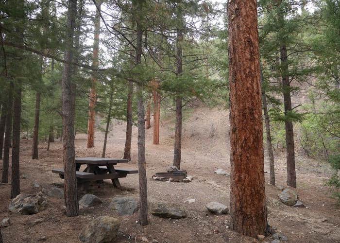 Elephant Rock Campground Camping | The Dyrt