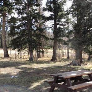 Hopewell Lake Campground Camping | The Dyrt