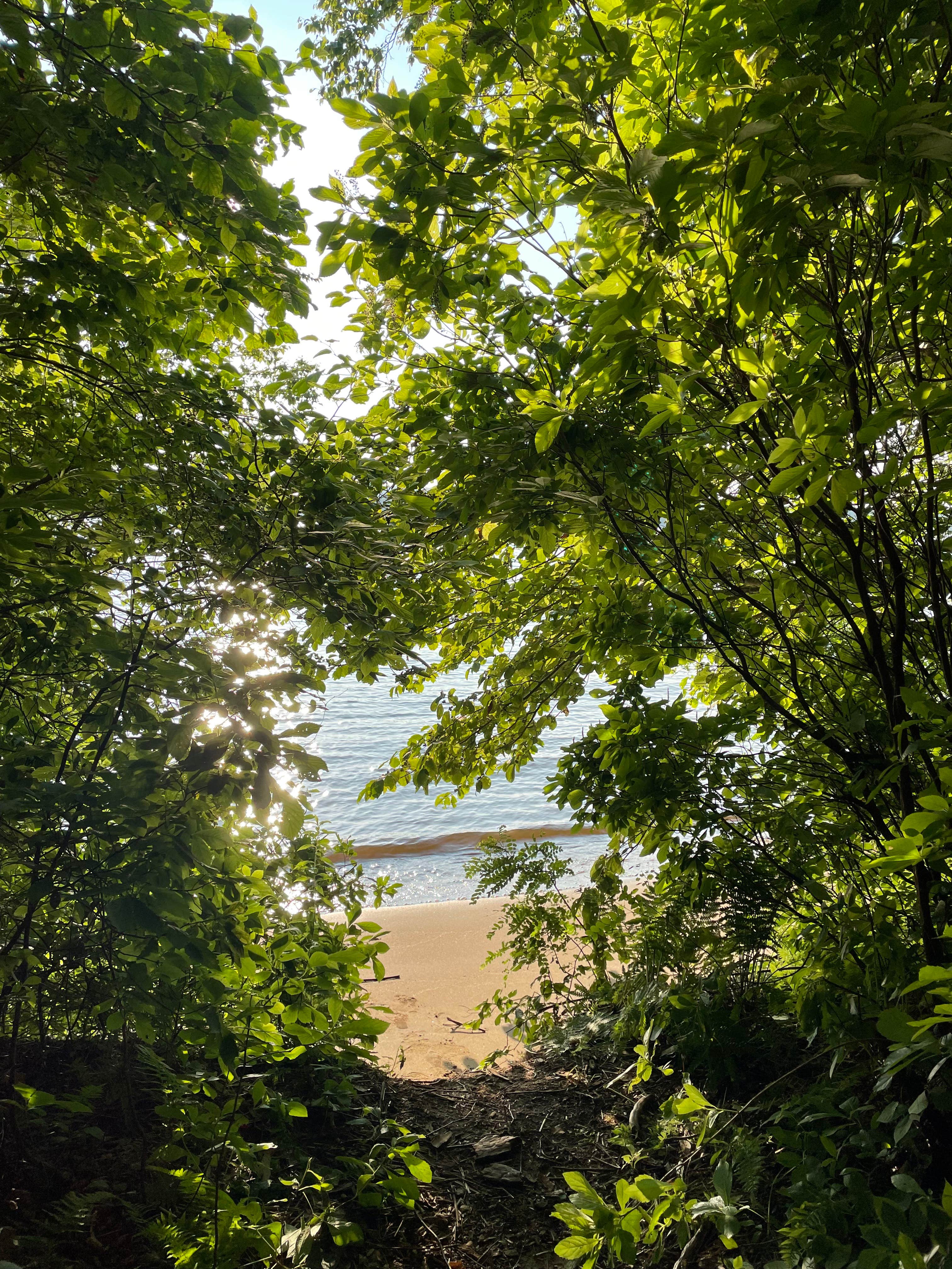Selden Neck State Park Campground | Hadlyme, CT