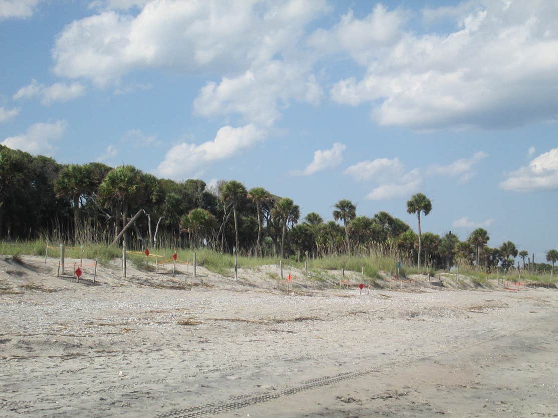 Edisto Beach State Park | The Dyrt