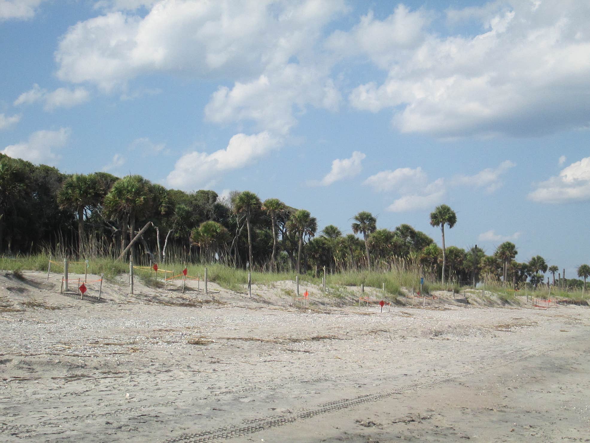 Edisto Beach State Park | The Dyrt